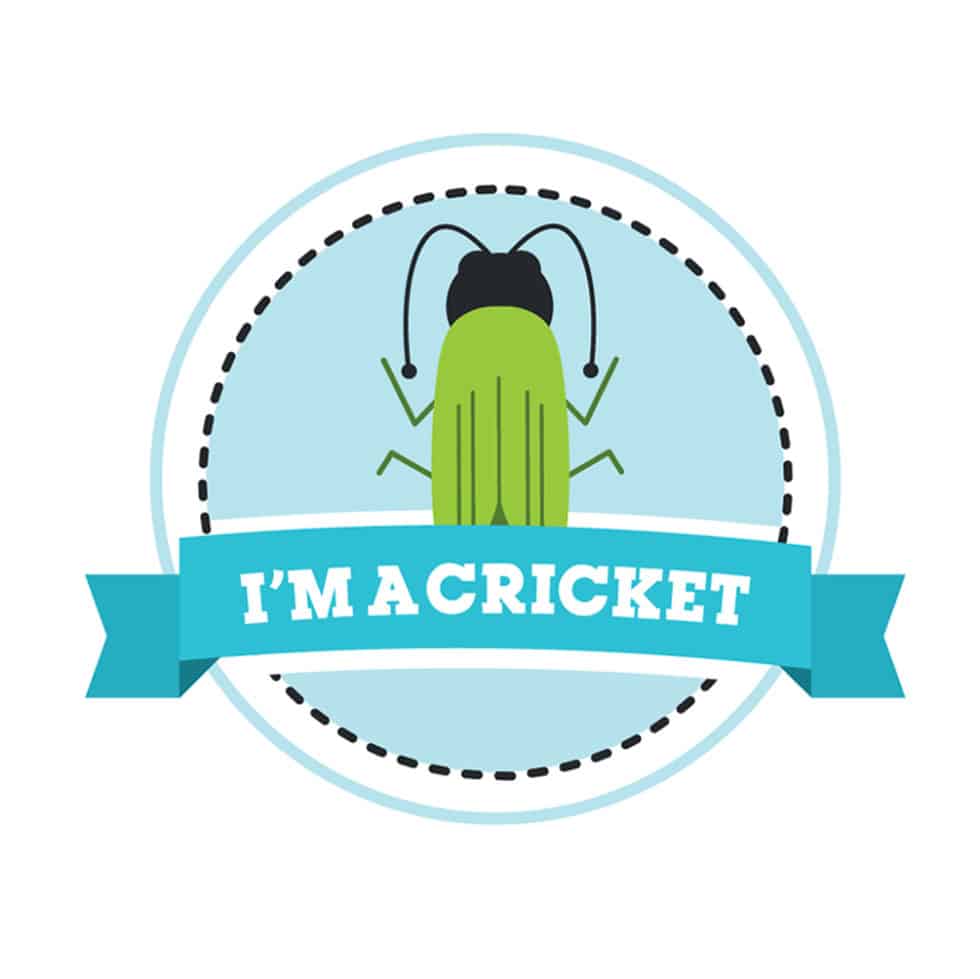 Take the Quiz - What Clutterbug are you? - Clutterbug