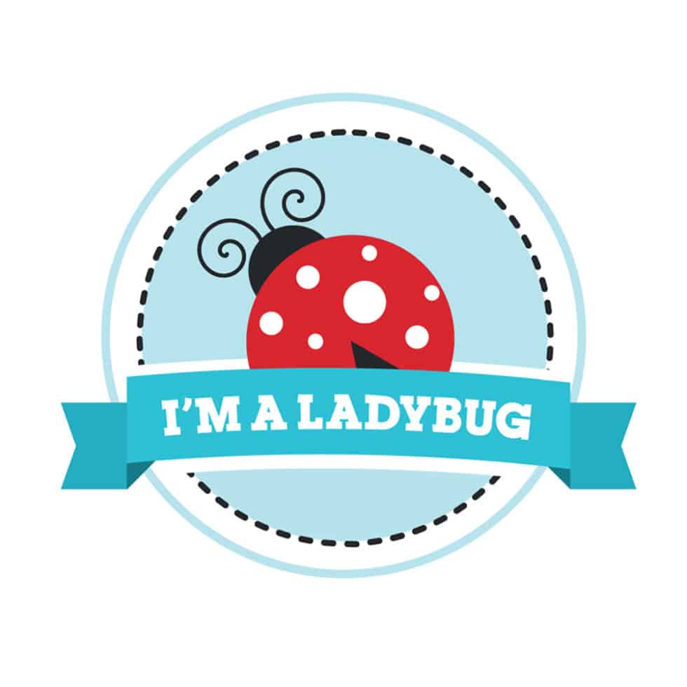 Take the Quiz - What Clutterbug are you? - Clutterbug