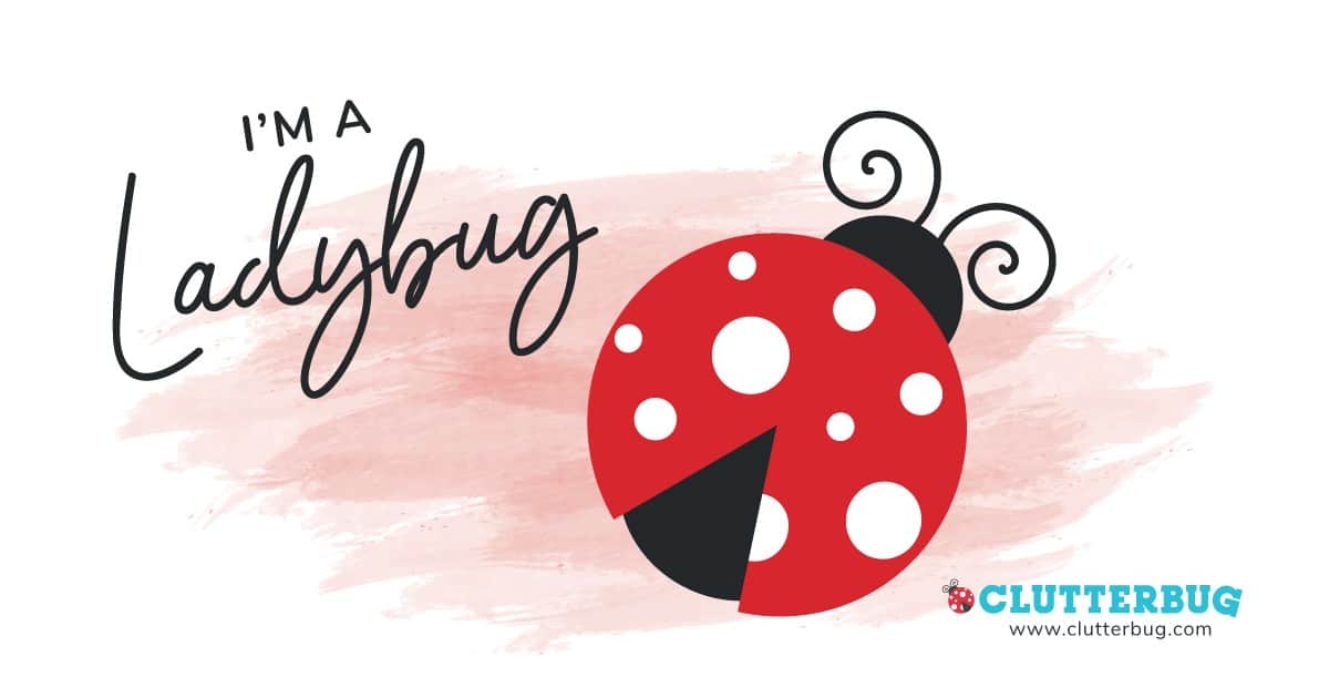 LadyBug - Clutterbug